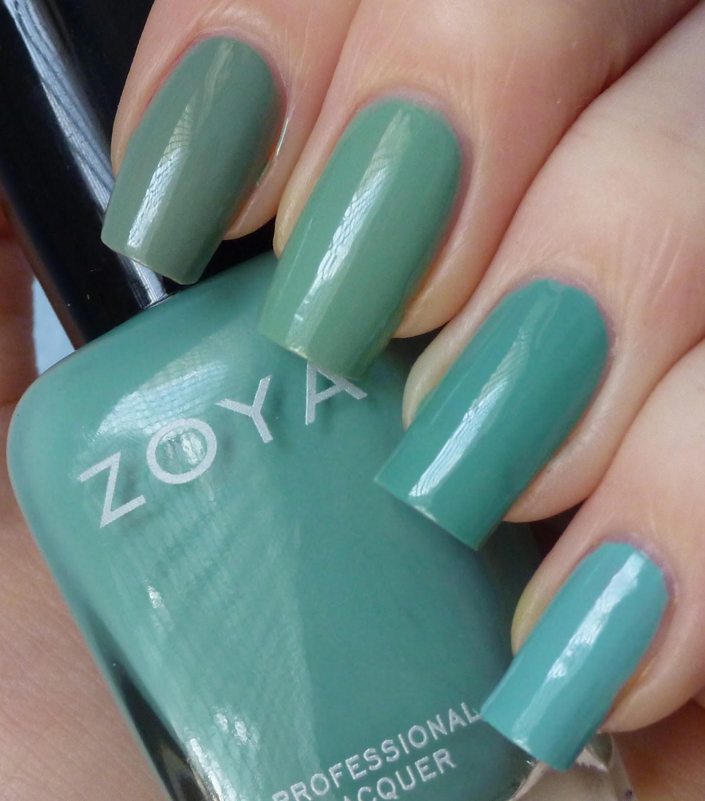 Paleberry: Teal Comparison