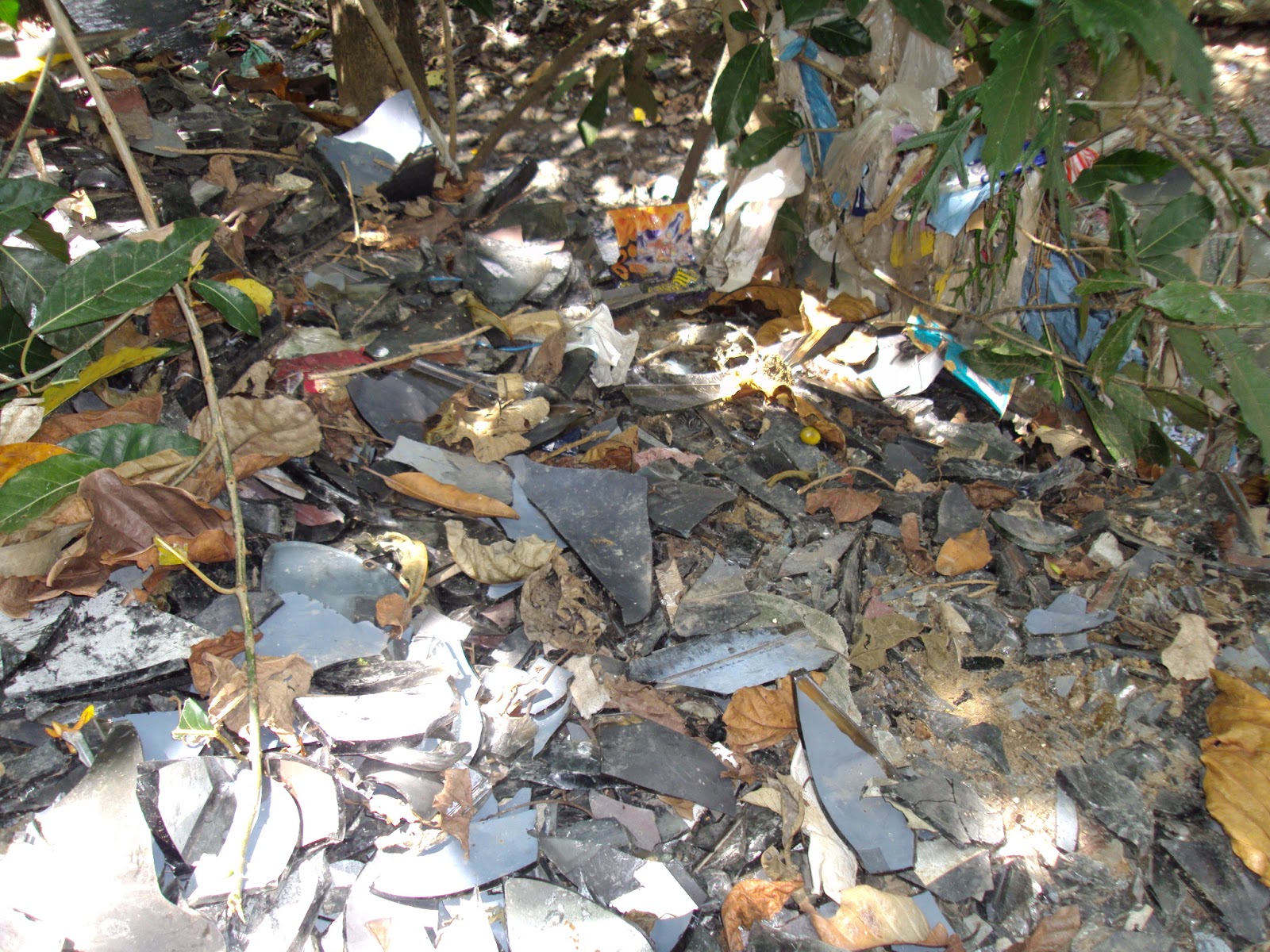 Watch Group Lauds Caloocan Barangay for Taking Action vs. Improper E ...