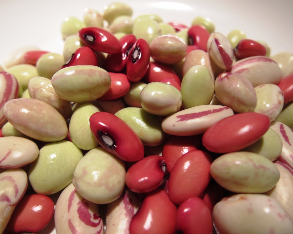 Doves Today: Pink Saturday - Cool beans