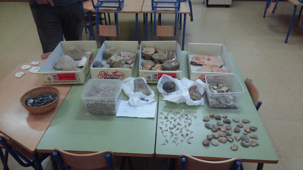 PROYECTOS INFANTIL: FÓSILES