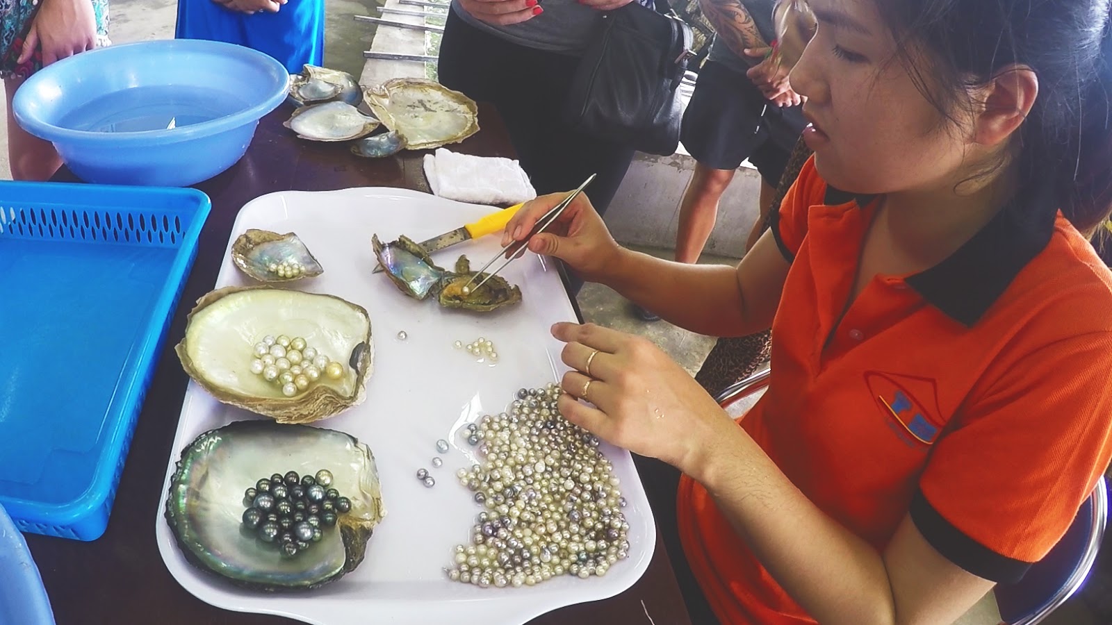 Farming the Perfect Pearl