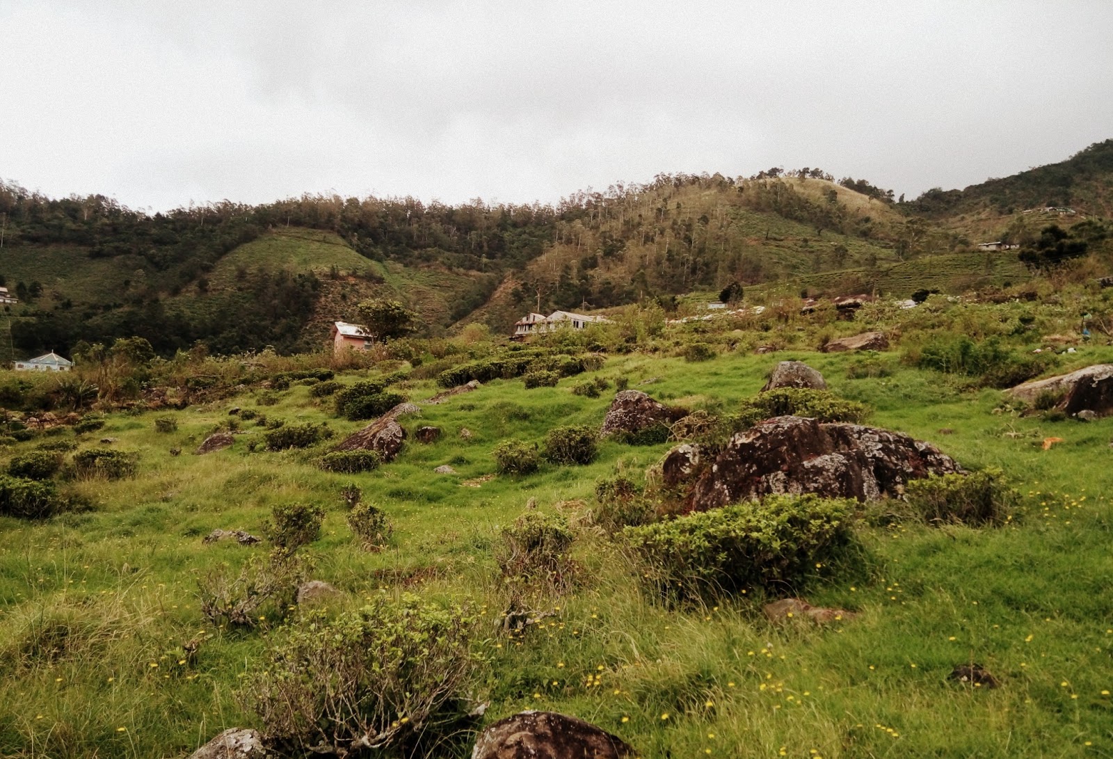 ලින්කන්ගෙ වෙබ් පිටුව: ඔහිය සිට යකාගේ පඩිපෙල පසුකර බඹරකන්ද දියඇල්ලට ...