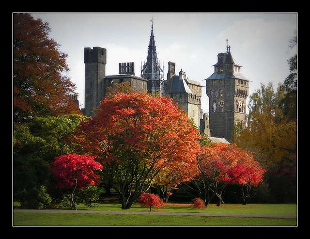FLOWERS AND THORNS: Margarita Felices with a picture post