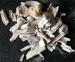 Stonehenge and the Ice Age: Stonehenge: cremated remains from West Wales?