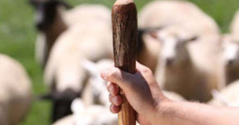 The painful blow of the Shepherd’s rod - A Must Read Story