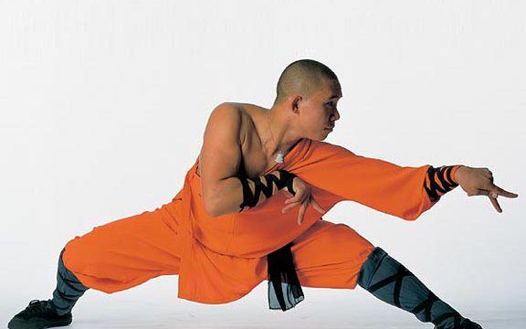 Total Martial Arts: The powerful Mantis style (Kung Fu)
