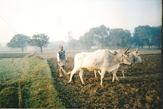 सरोकारनामा: मेरे लिए लिखना, कबाड़ खाने से साइकिल कसने की तरह है : शिवमूर्ति