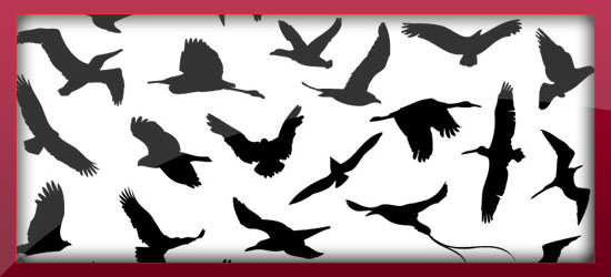 30 Free Vector Flying Birds | Vector Maniacs - Free Vectors We found it ...