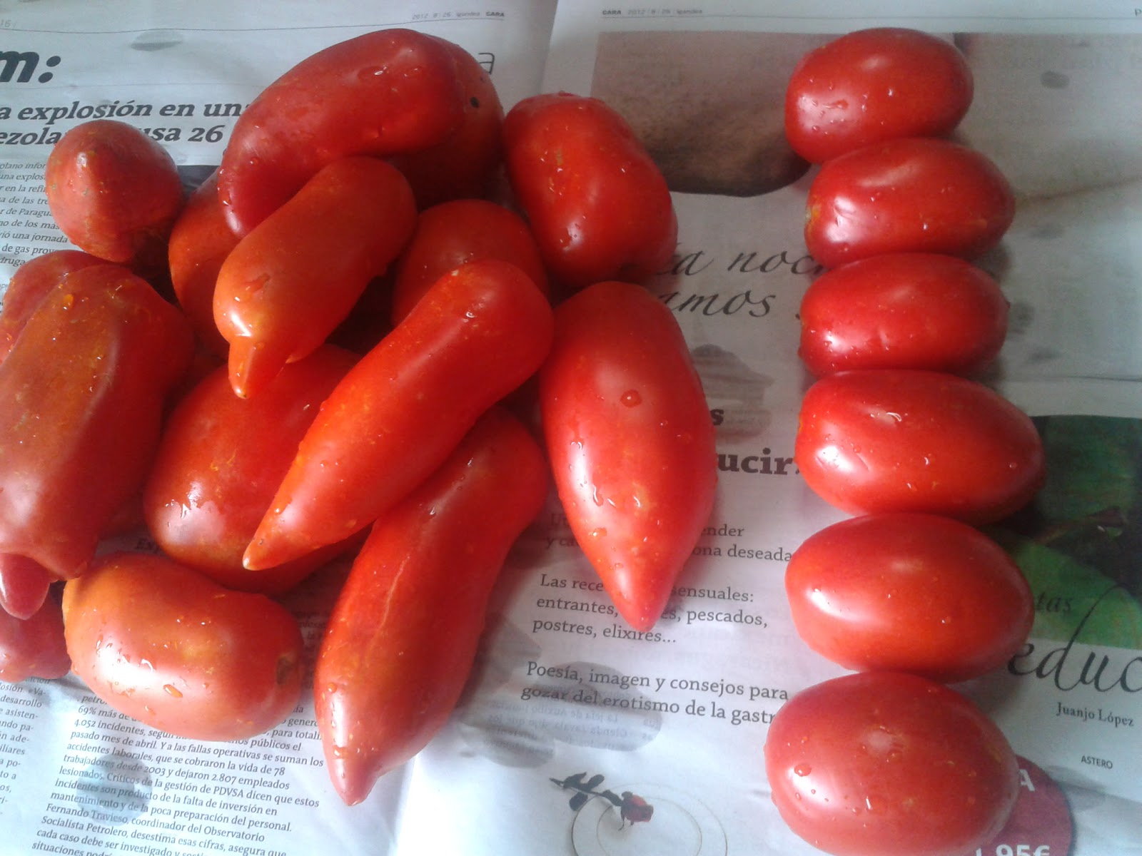 blogmiren: Tomate cuerno de los Andes