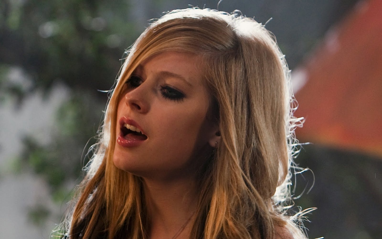 star 10: Arvil Lavigne Pictures & HD Wallpapers