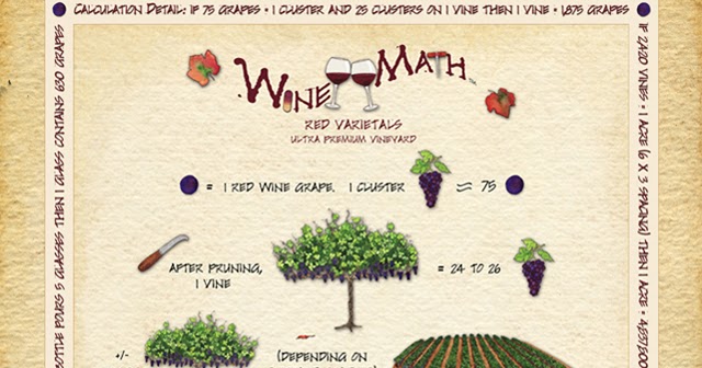 SAZ in the Cellar: Wine financials - you do the math!