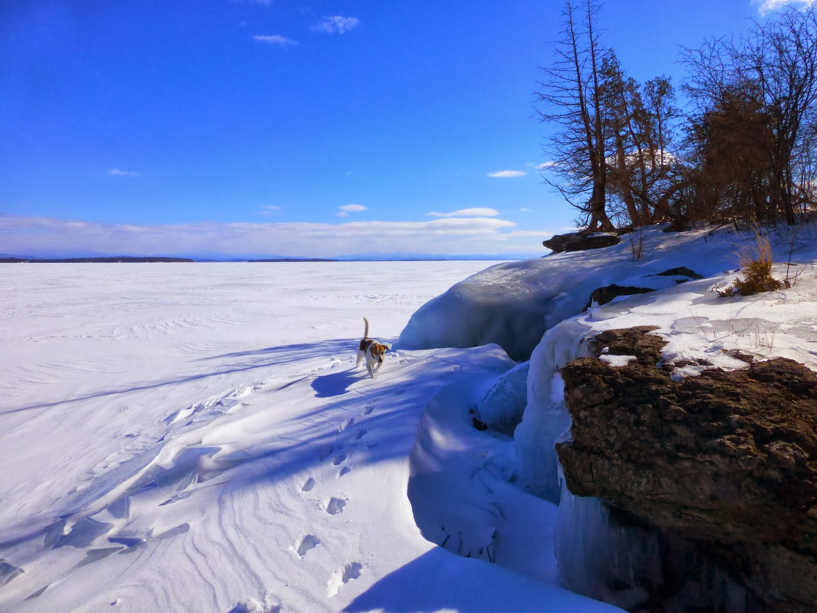 Off on Adventure: XC Ski on Valcour Island (near Plattsburgh, NY) - 2/16/14