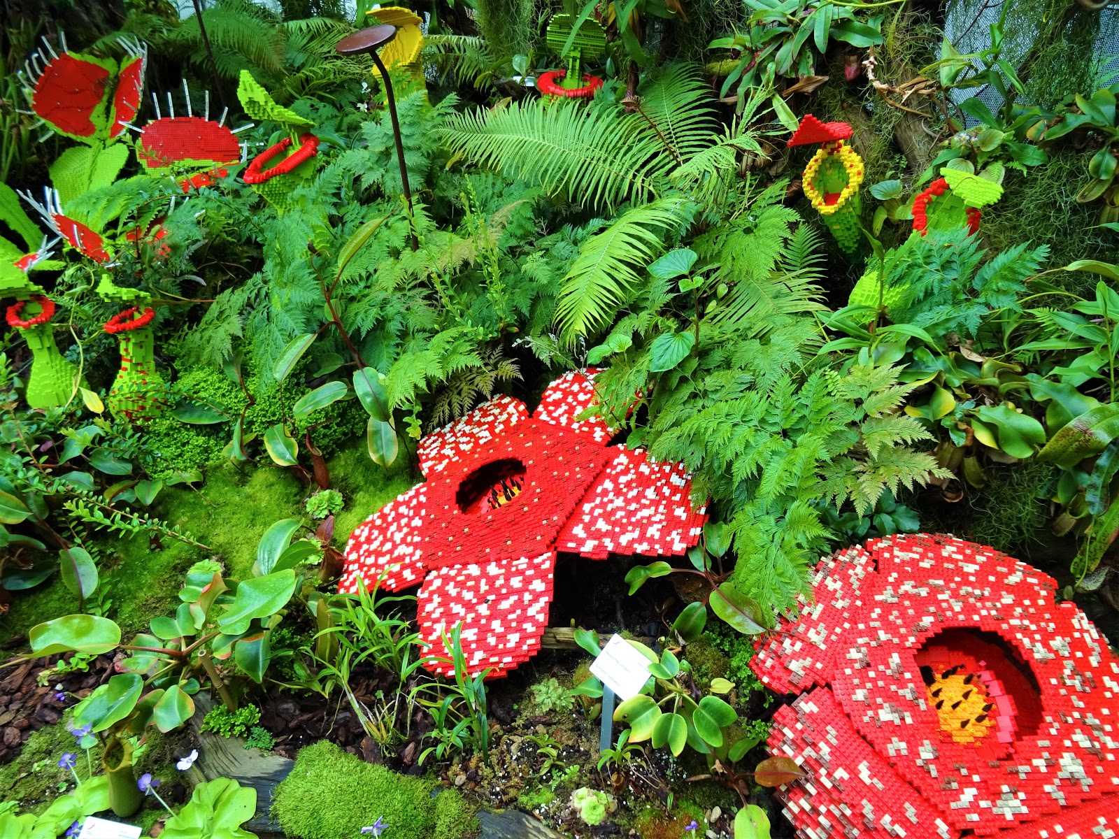 BackPackPam: juin 2017