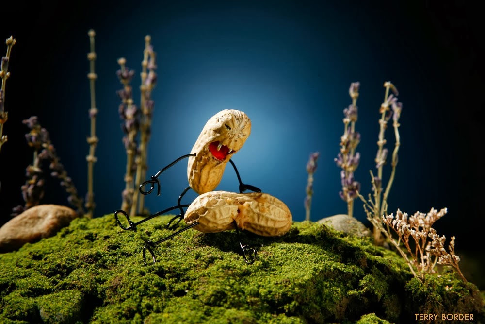 Kumpulan Foto-foto / Gambar-gambar Unik, Gokil, lucu Keren dan Penuh ...