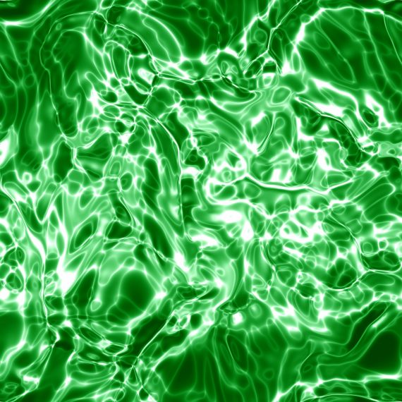 Paranormal Searchers: Mysterious Lizards Have Developed Toxic Green Blood