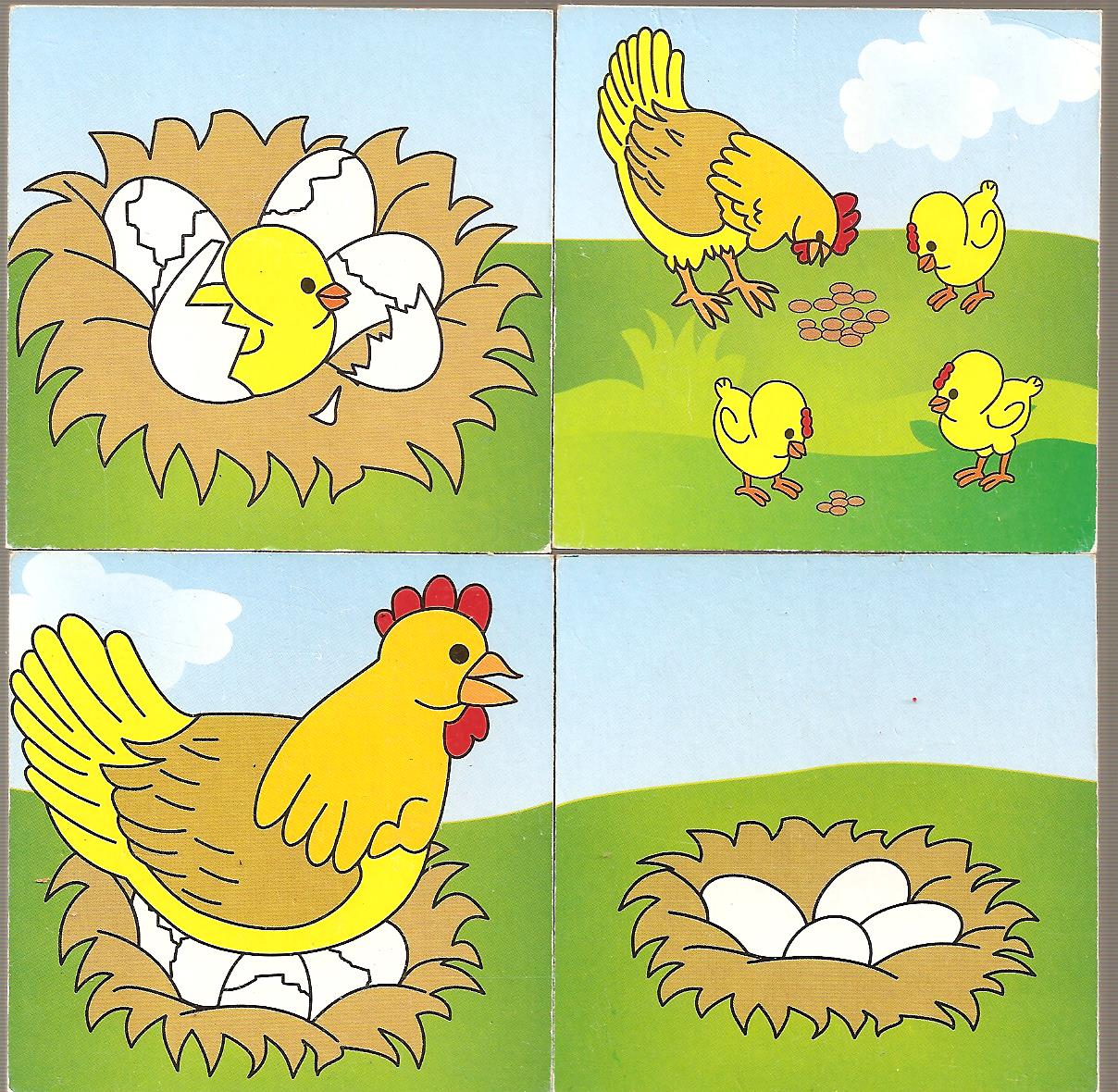 Sequencia Logica Para Imprimir - FDPLEARN