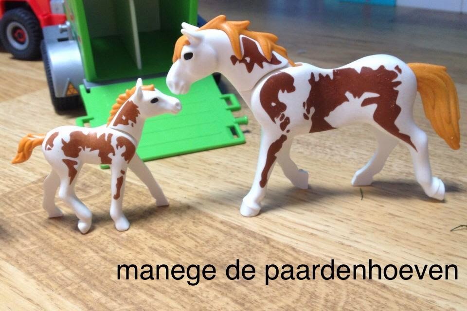 Manege de Paardenhoeven: Nieuwe paard en veulen