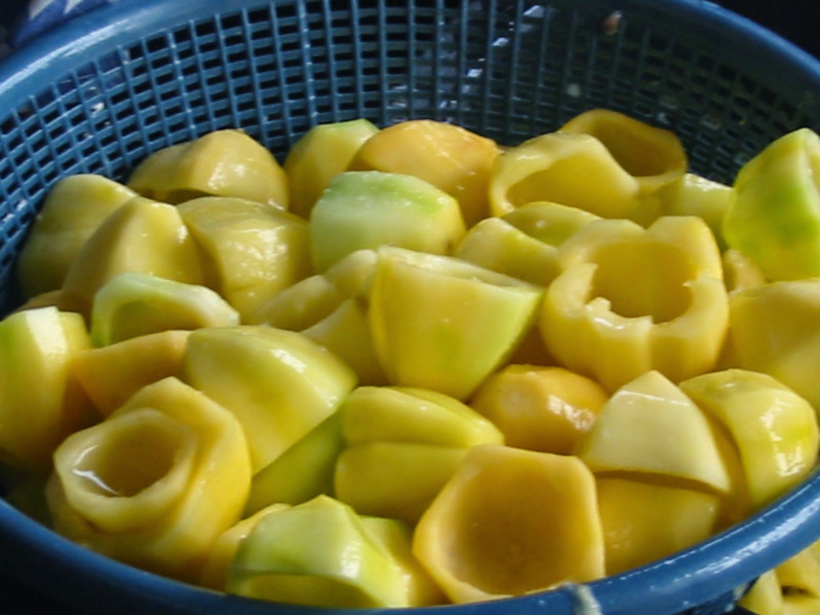 makanan khas jawa | wonosobo: Makanan Khas Jawa Buah Carica | Wonosobo