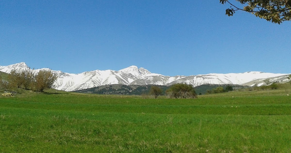 I Campi di Mais: Cammina e cammina......