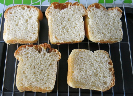 Standard Herman Bread recipe
