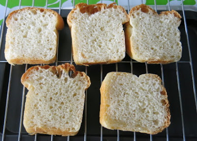 Standard Herman Bread recipe