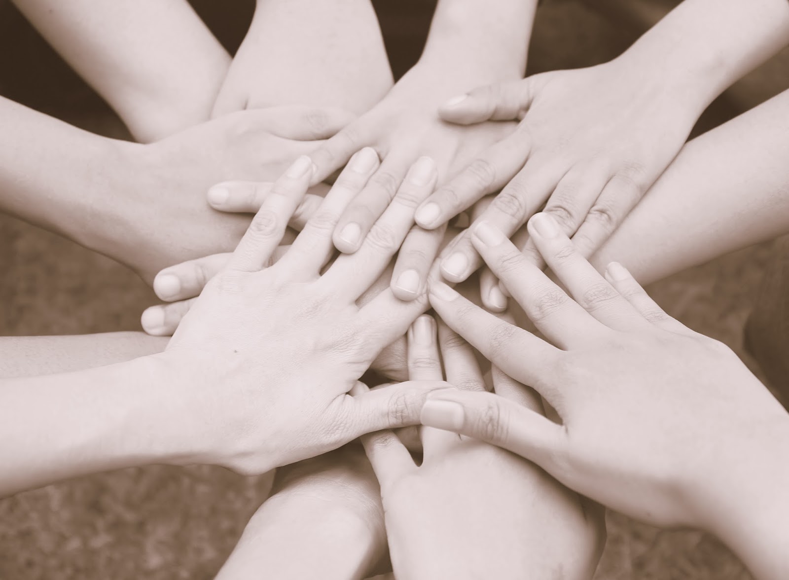 Arome si culori : Oamenii frumosi fac surprize frumoase