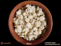 aMéRiCa LaTiNa !!!: Breve Glosario de Ingredientes de la cocina peruana