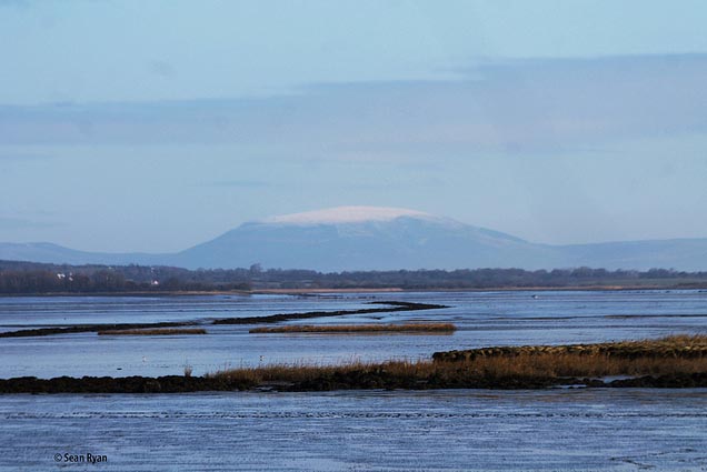Shannon Estuary, Irelands' Wild Atlantic Way, Limerick,Clare & Kerry ...