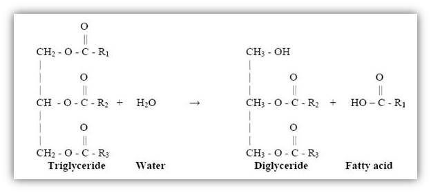Aceites y Grasas Comestibles