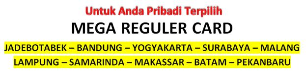 Mega Reguler Cards