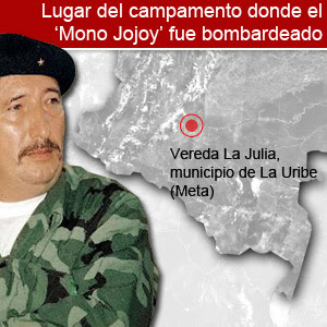 ACONTECIMIENTOS SIGLO XXI: CAE EL MONO JOJOY "MUERTE"