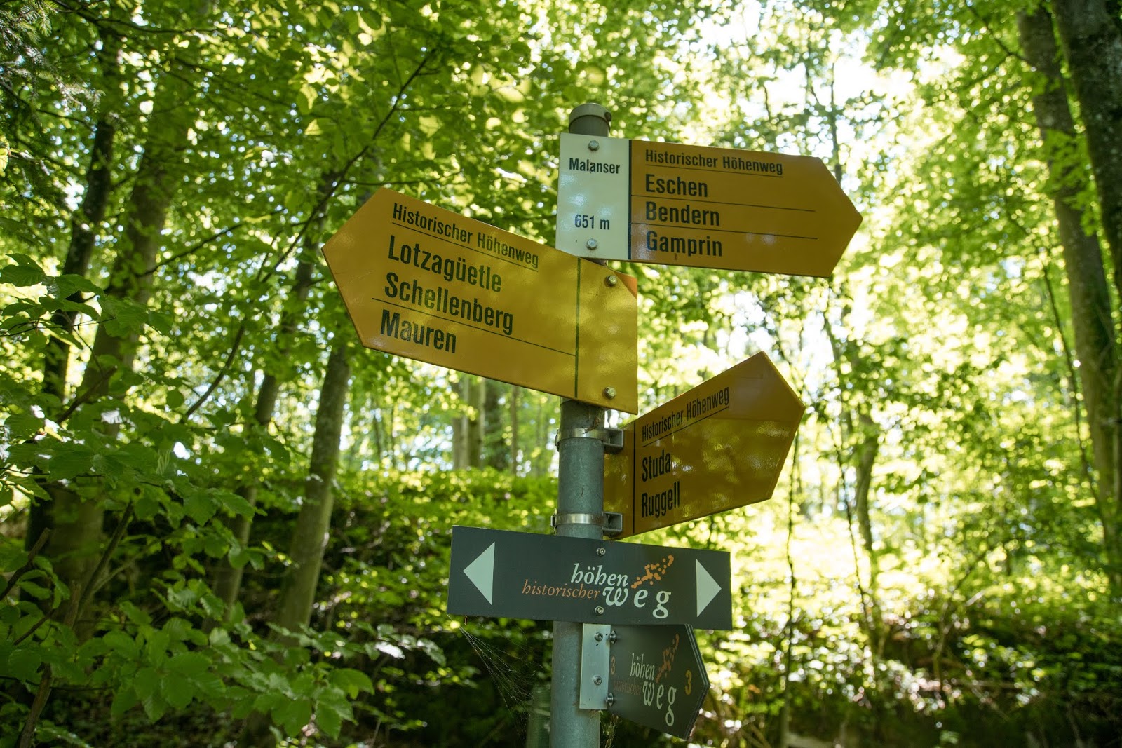 Historischer Höhenweg von Bendern nach Schellenberg | Wandern Liechtenstein