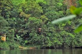 Safari Sri Lanka: Kithulgala - place where the famous 'Bridge on the ...