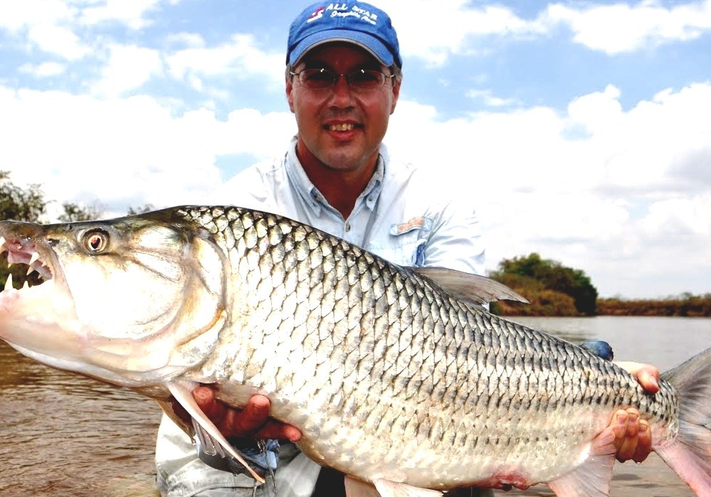 Hydrocynus Goliath - Tiger Fish Attack