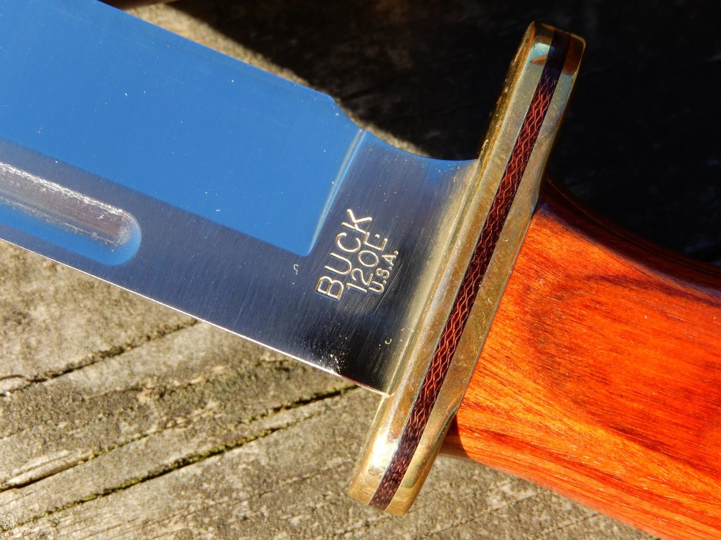 PSICOLOGÍA Y SUPERVIVENCIA: agosto 2018