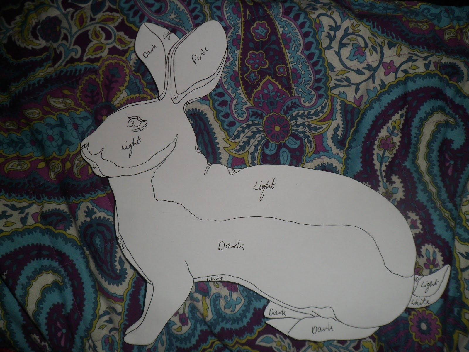Abbie Stewart: Cut Out Rabbit