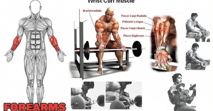 3 Forearm Exercises - Workout For An Often Forgotten Muscle Group