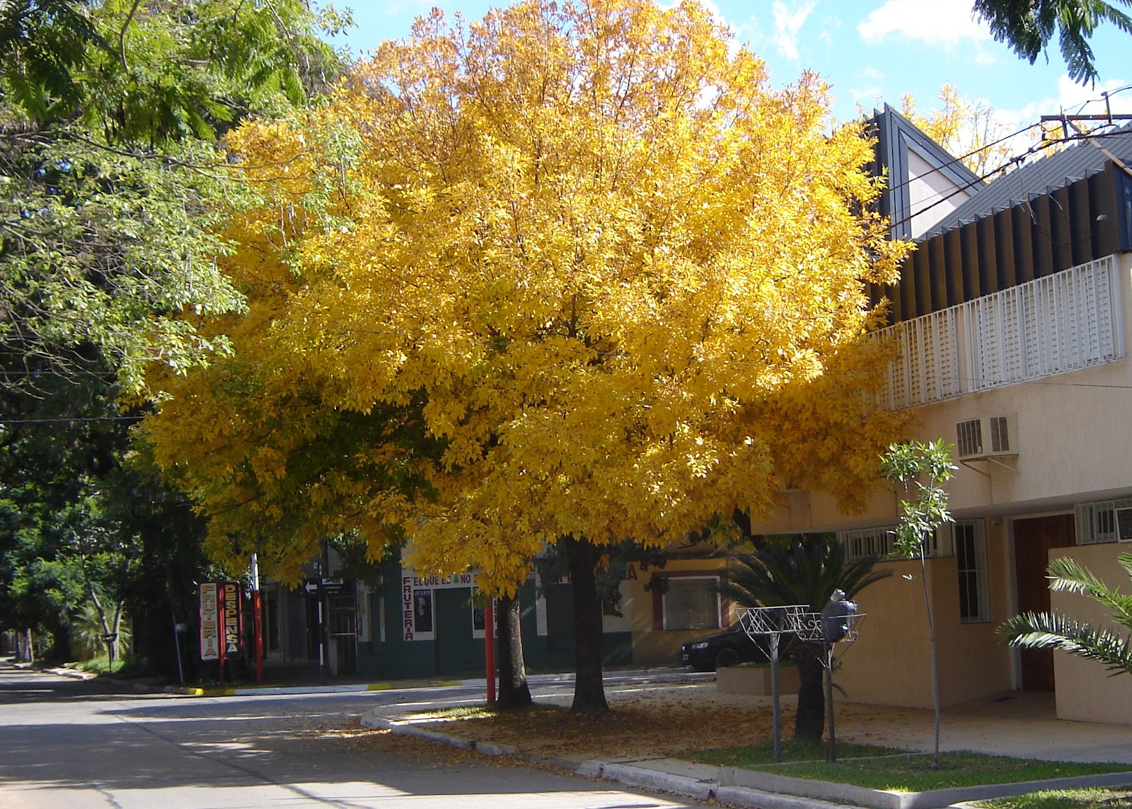 v e r d e c h a c o: julio 2010