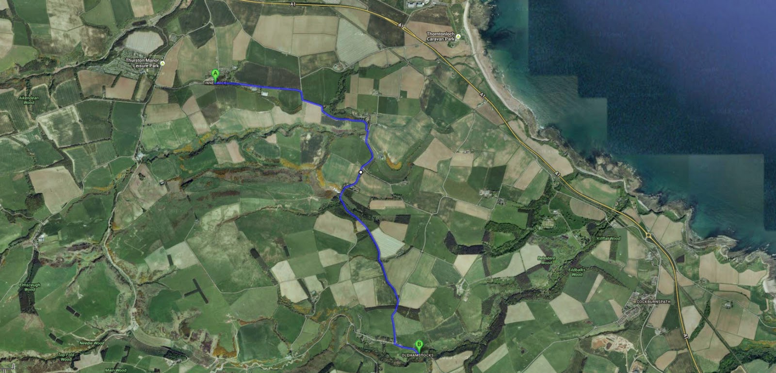 A Genealogy Hunt | October 2014