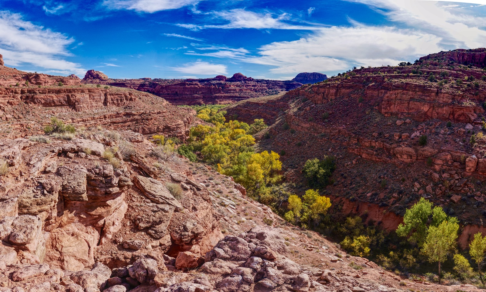 Earthline: The American West: The Golden Cathedral of Neon Canyon