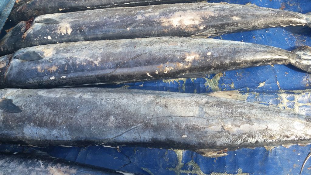 Towerwater Aan De Breede: Snoek en soet patats in die boord