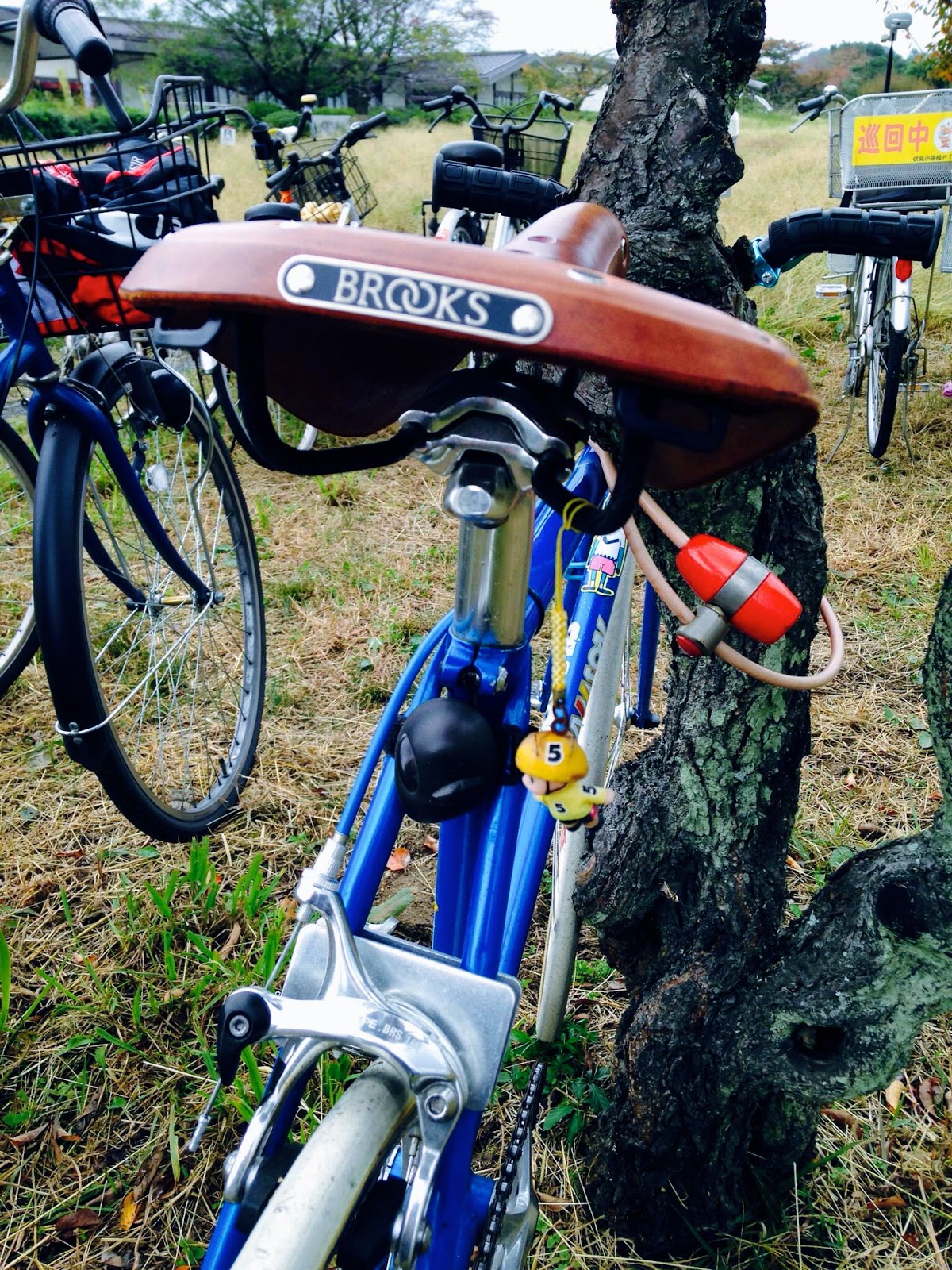 Kinki Cycle: Custom Samson