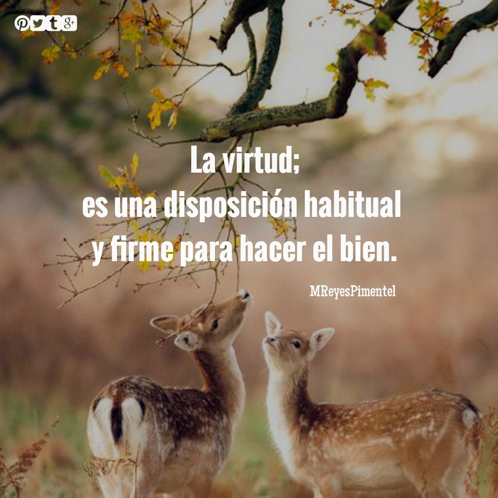 Hablemos.: Virtud