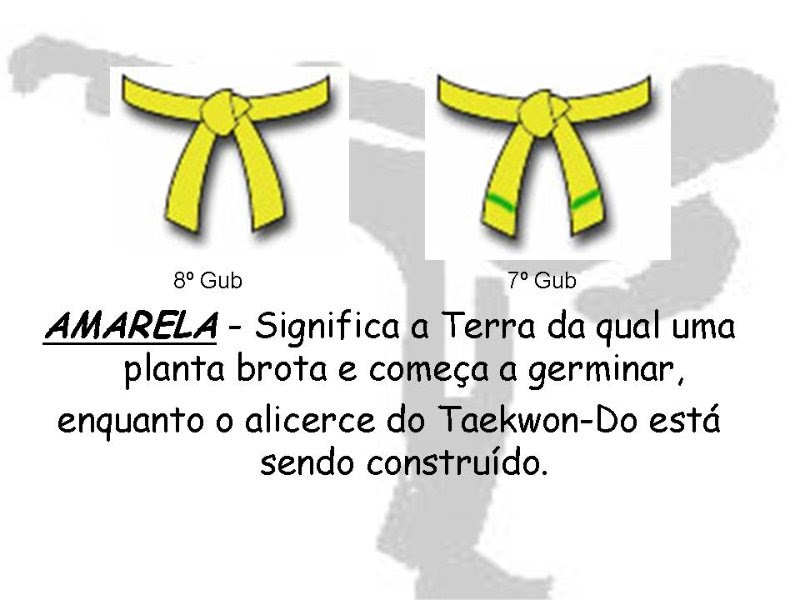 Hwarang-Do Taekwondo Clube : Faixas / Pomsae