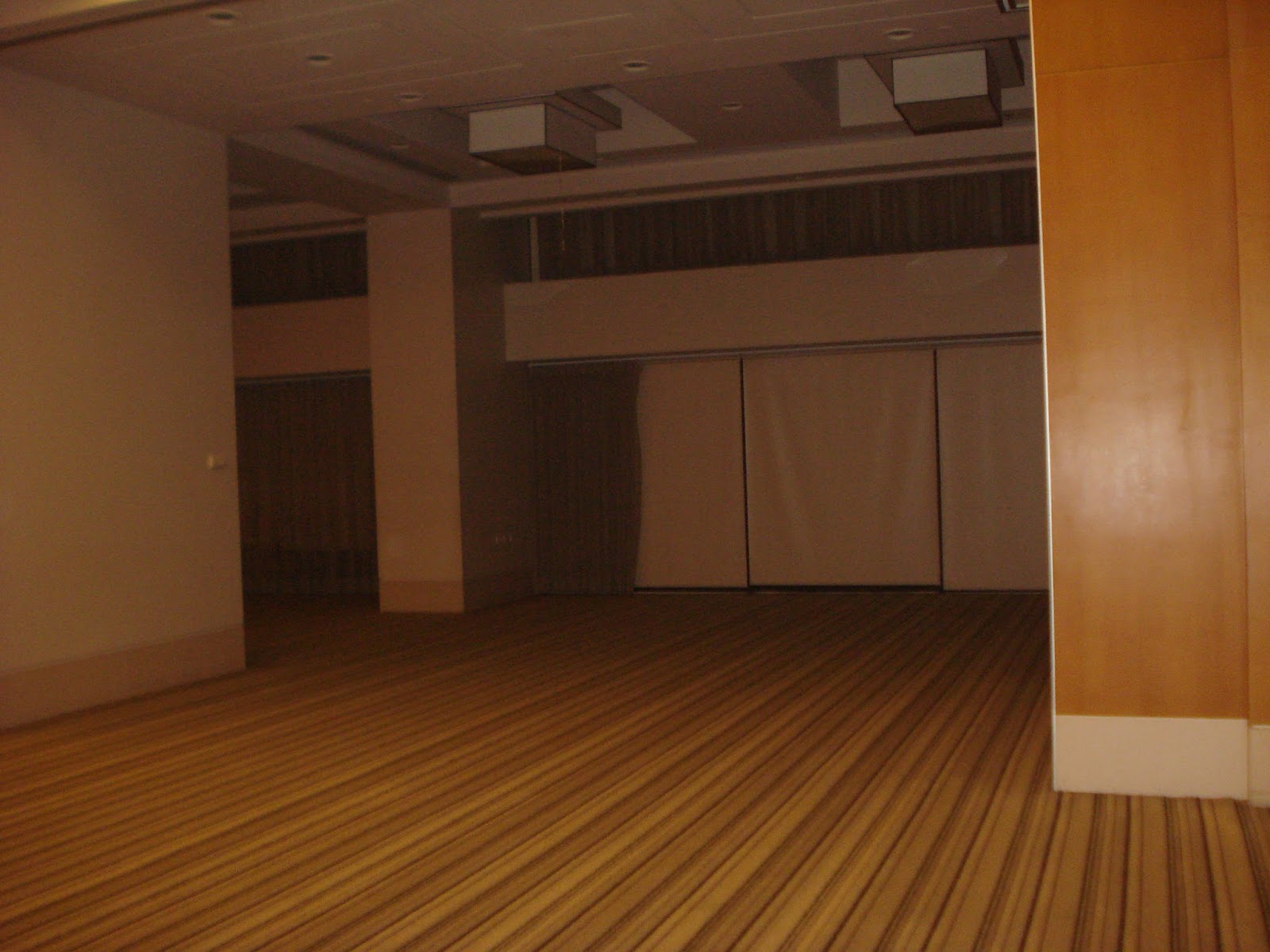 Tipid Party!: Venue: One Rockwell Function Room