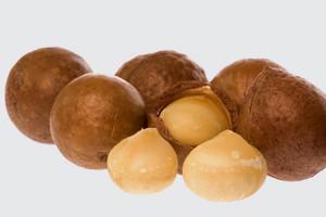 PLANTAS MEDICINALES: Nuez de Macadamia