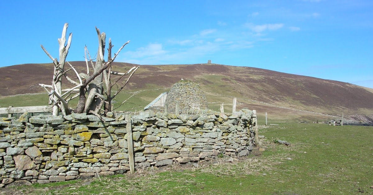 A lifetime of Islands: Island 203 - Noss, Shetland