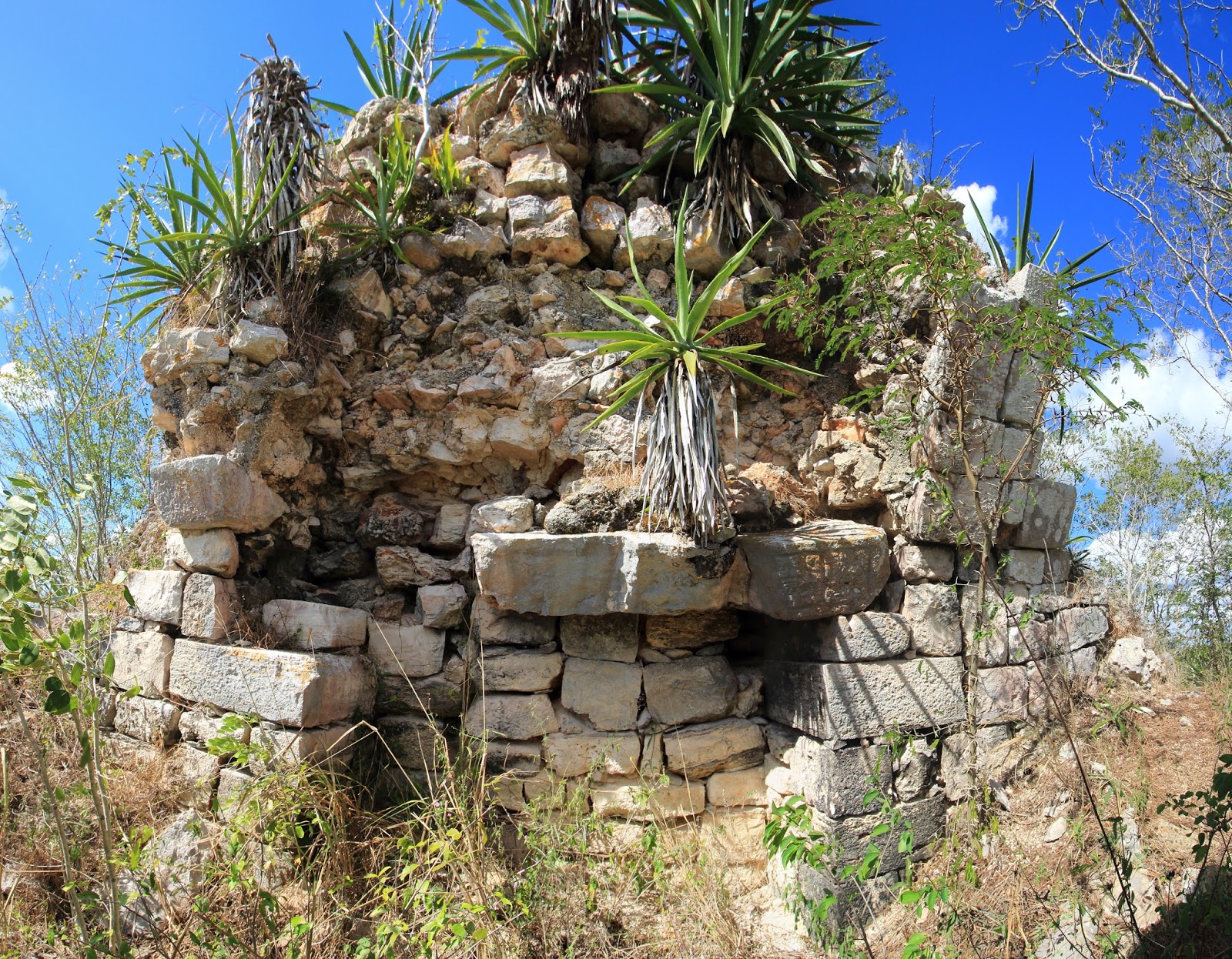 El jaguarcillo viajero: mayo 2017