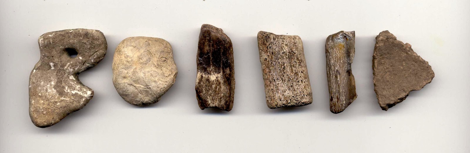 flux biota.: Skunk River. Fossil Hunting in Iowa.