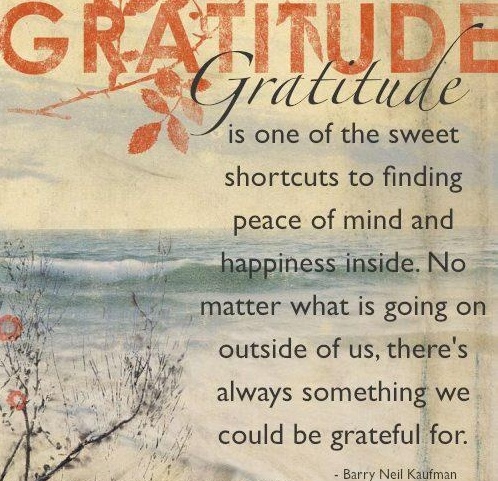 Diary of a Brown Eyed Girl: Feelings of Ingratitude.